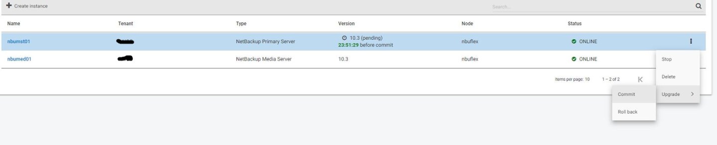 Veritas Flex version Upgrade – tech journey
